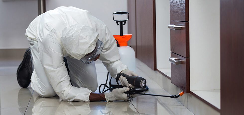 Pest Control Experts - Pest Pure Solutions | Pest Control Service ...